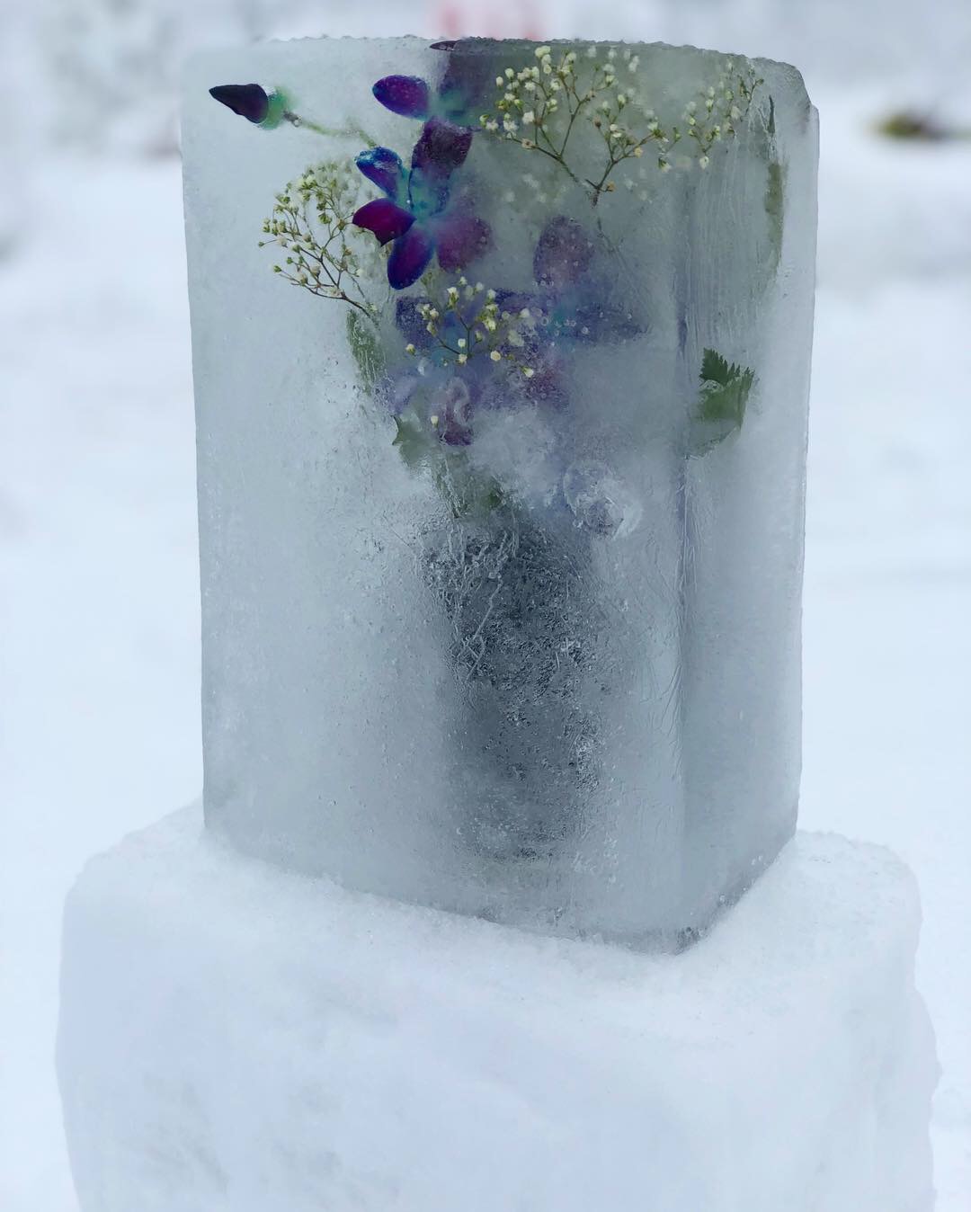 Ice Vase – Teresa Dorey